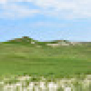 Daniel DeLong | Klapty